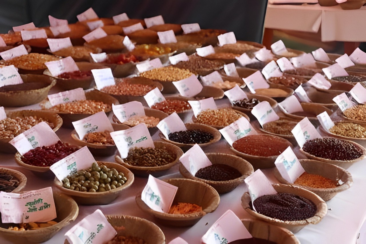 Seed Library - CSB Nepal